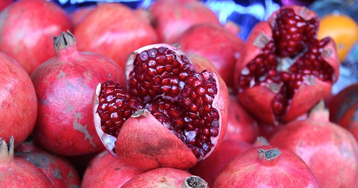 نبات الرمان – الخصائص وظروف الزراعة والإستخدامات